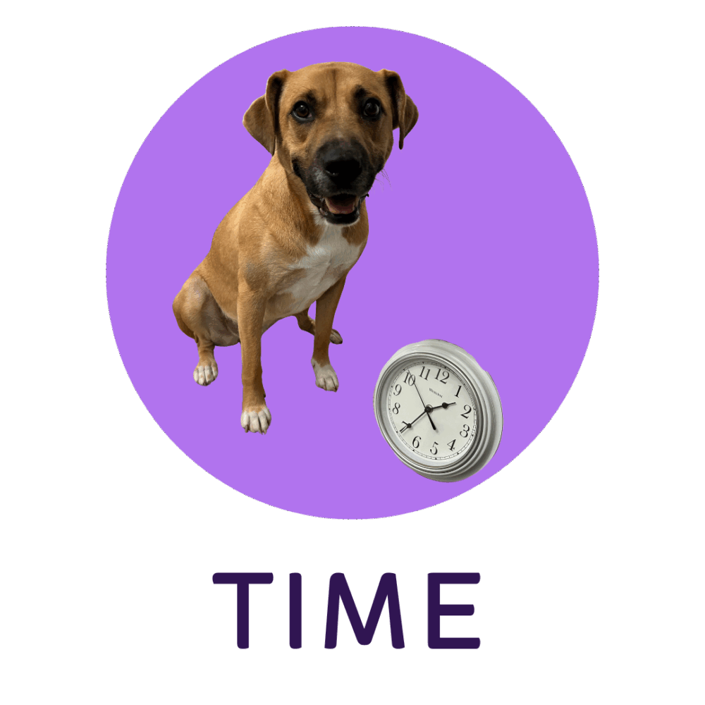 Time, Talent, or Treasure - Ahimsa House